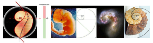 Sound Harmony Sacred Geometry